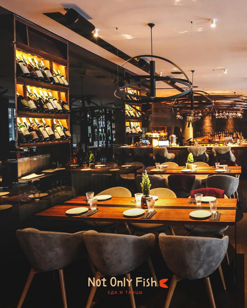 Not Only Fish – RSRVIT